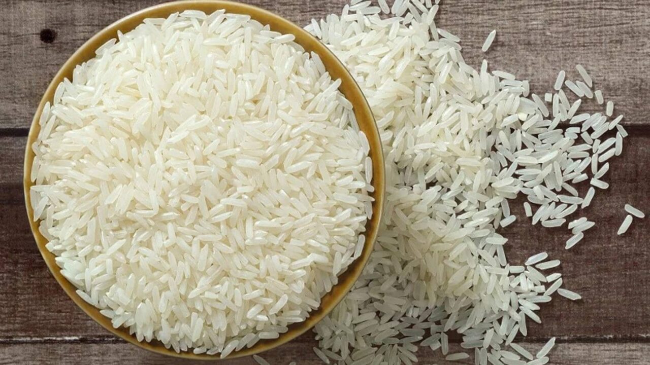 DMD Agro & Exports | Agro Exporter